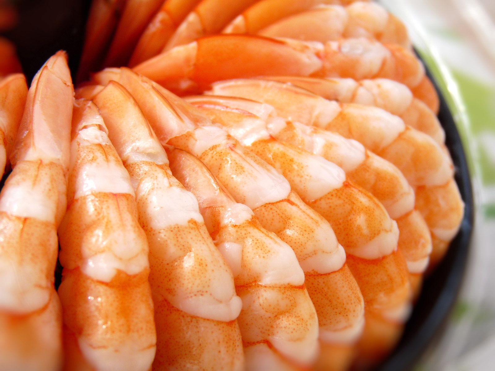 El camarón ecuatoriano se toma Asia | Cámara Marítima del Ecuador